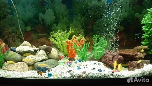 Продам панорамный аквариум jebo NewR-3126 320 л