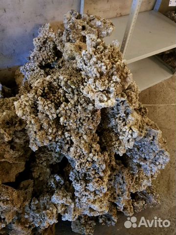 Сухой Рифовый Камень (срк )