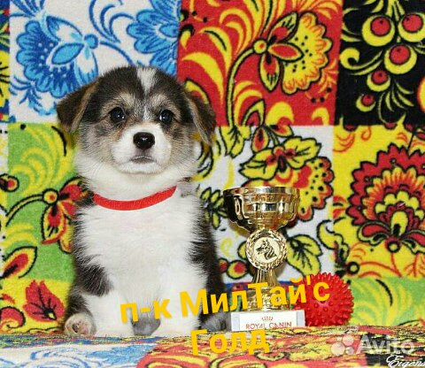 Крошки-хорошки