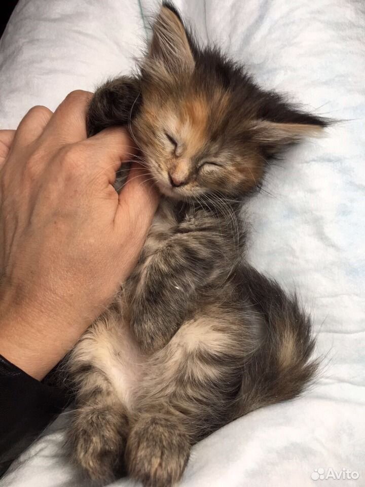 Малышка Сонечка