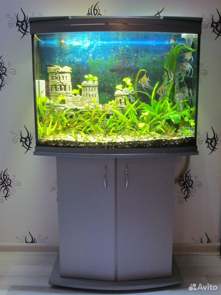 Аквариум Tetra AquaArt Evolution Line (130 л)