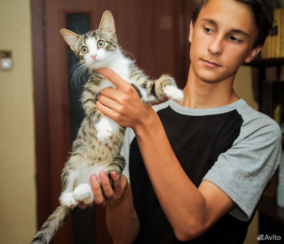 Счастье ищет свой дом. Его зовут Котёнок Марсик