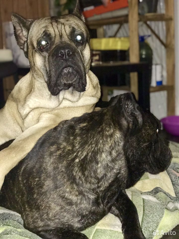 Кабель для Вязки