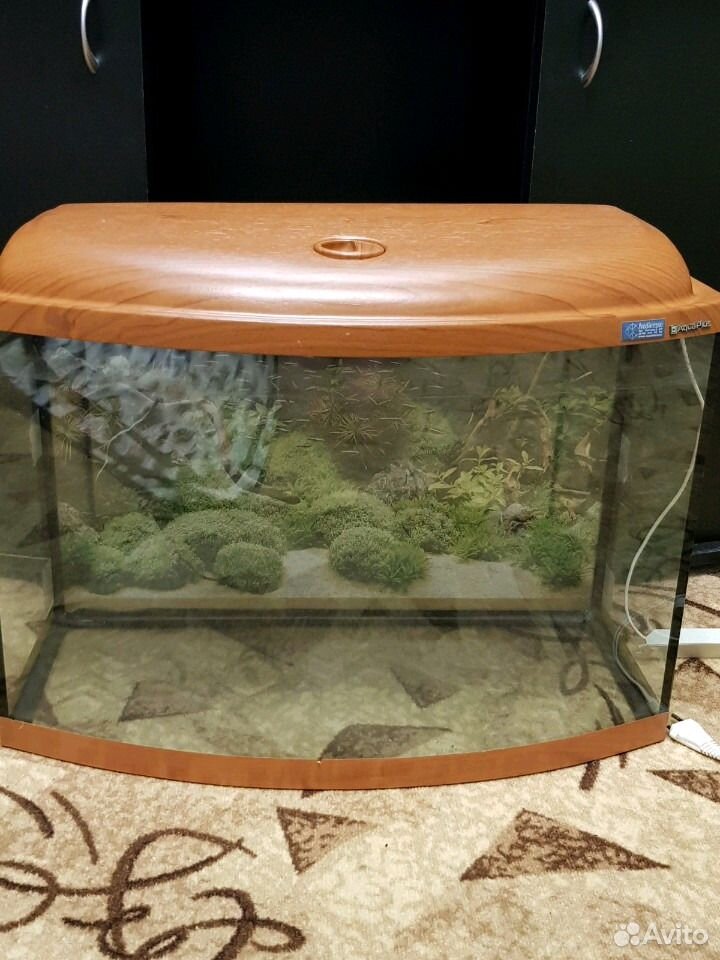 Аквариум