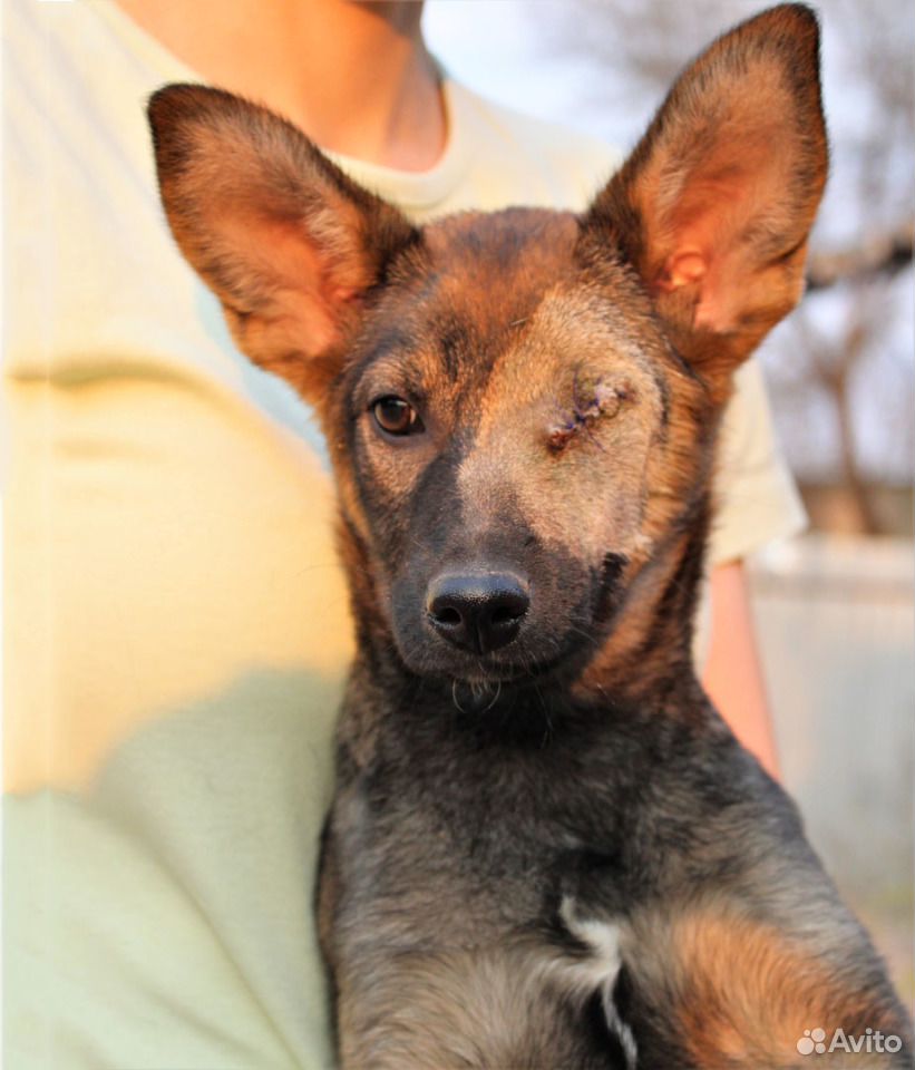 Грациозная как лань Герда