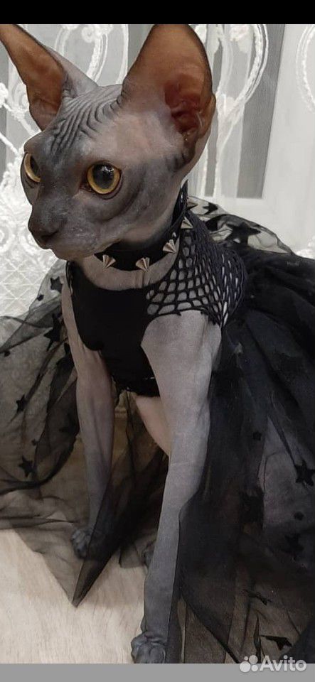 Ждем жениха