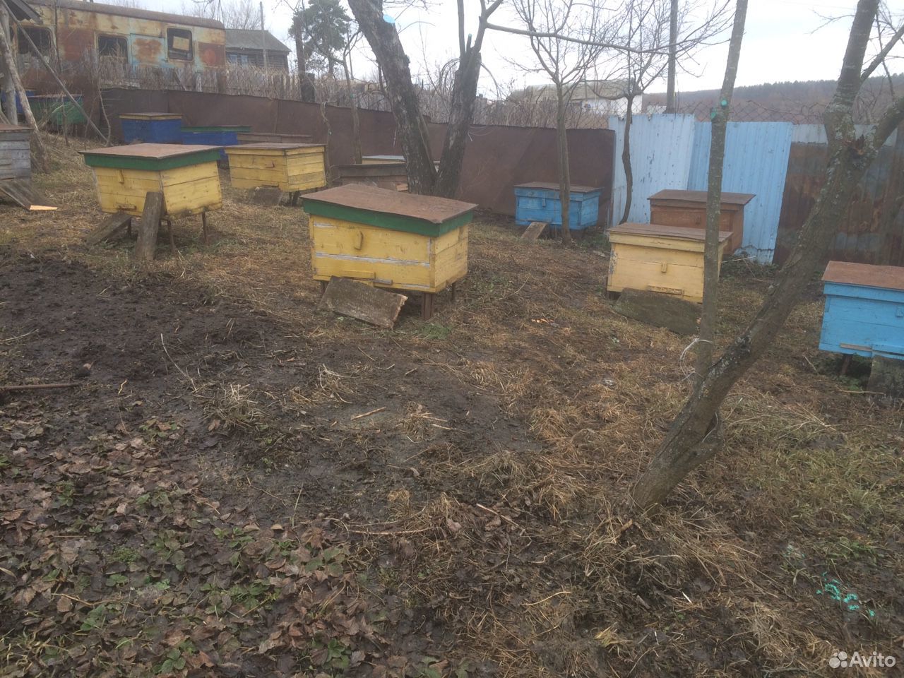 Ульи с пчёлами