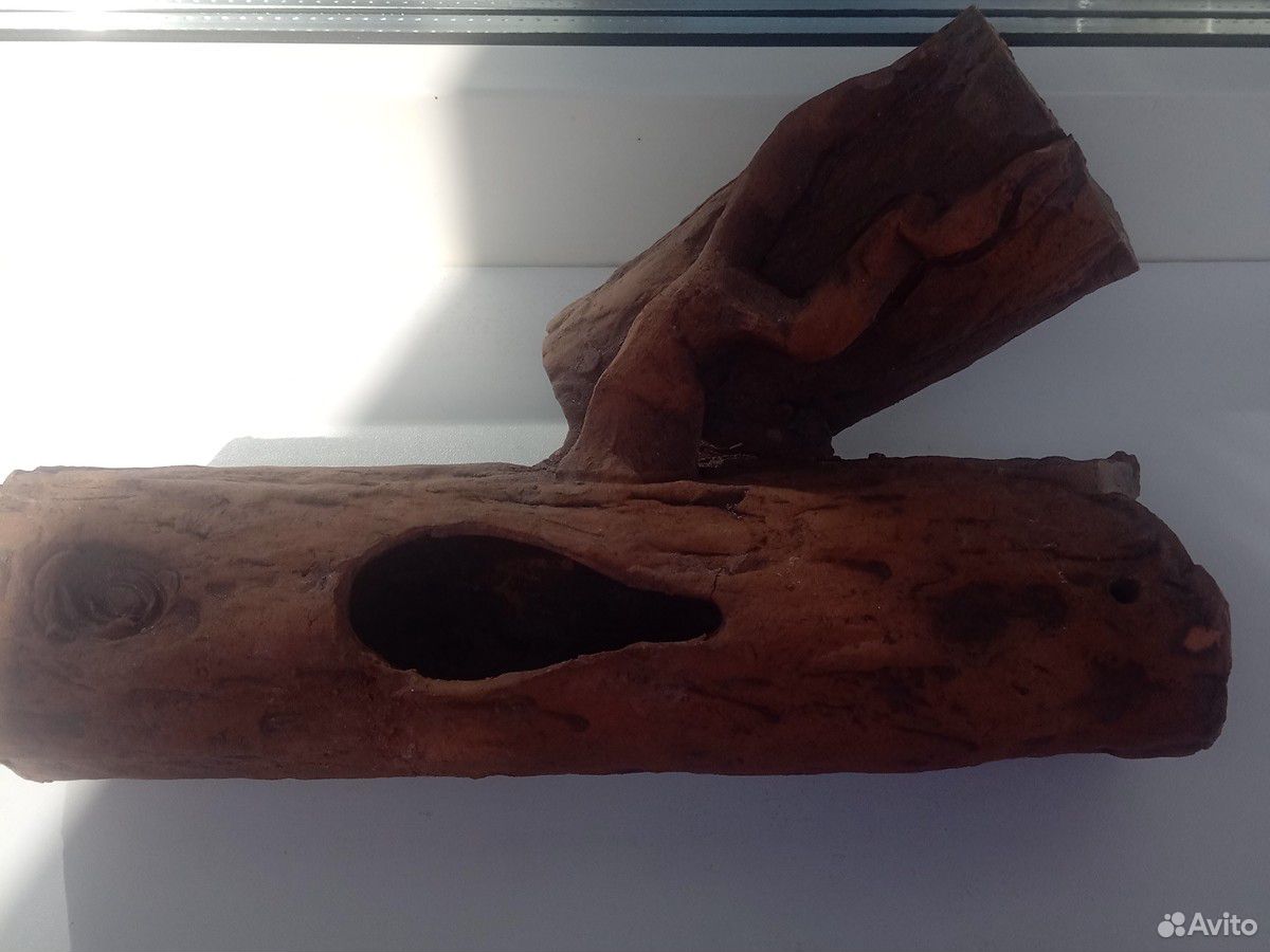 Растения и аксессуары для аквариума