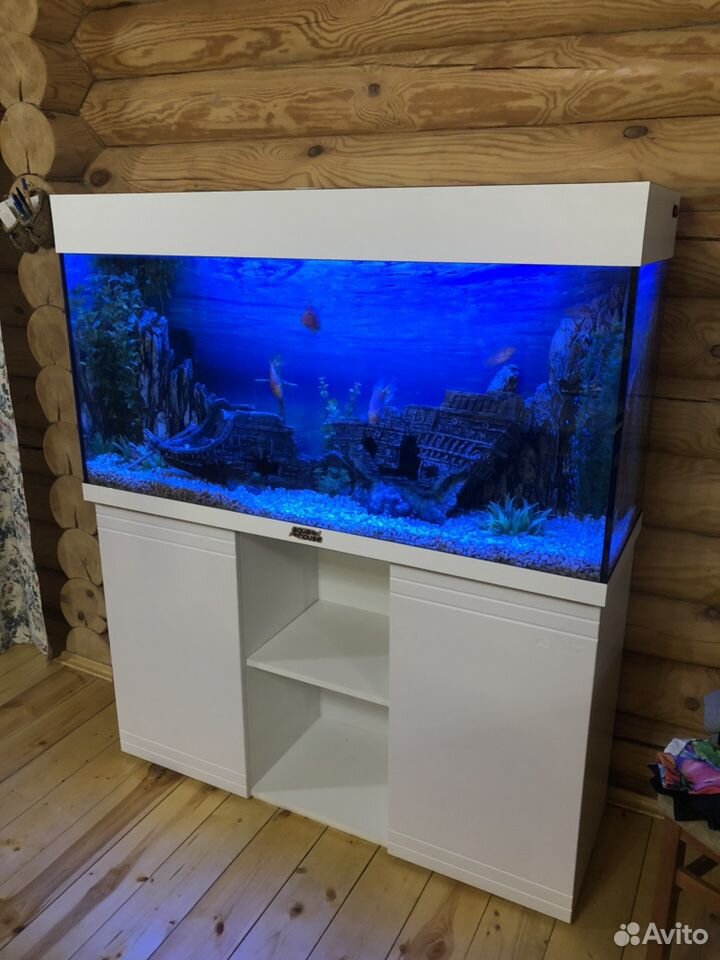 Аквариум