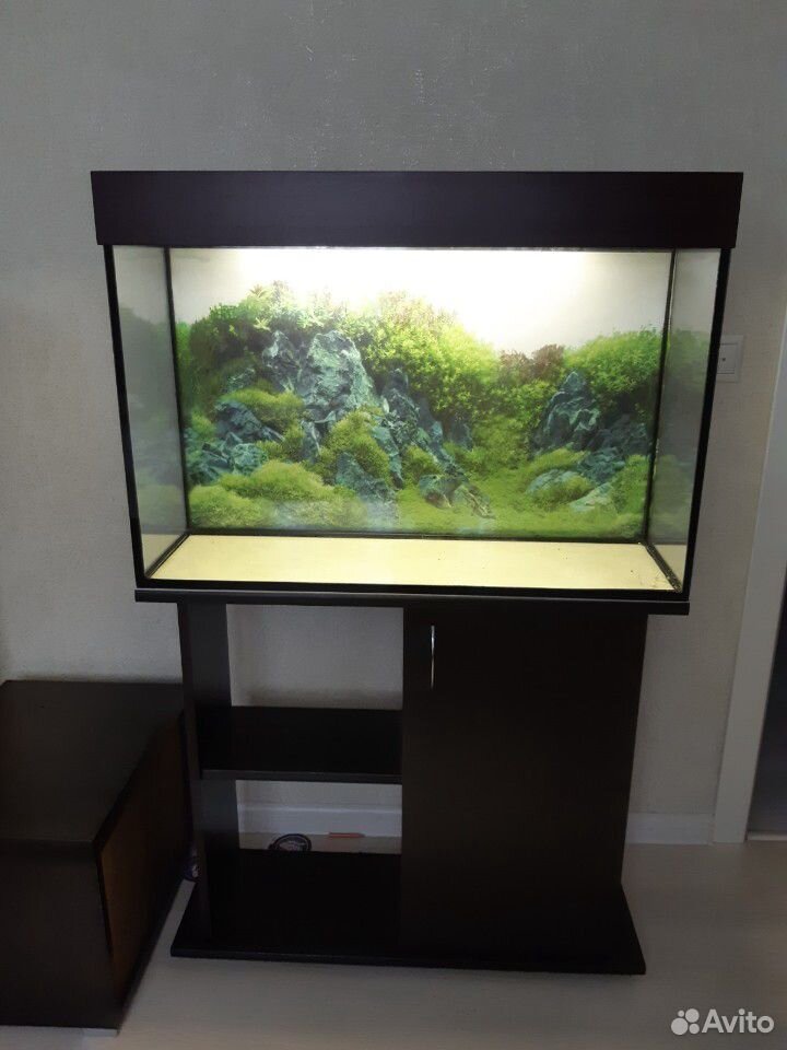 Аквариум, тумба, светильник