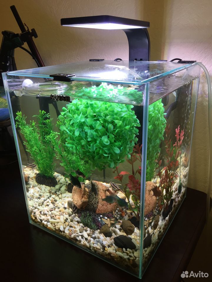 Аквариум Aquael 19л