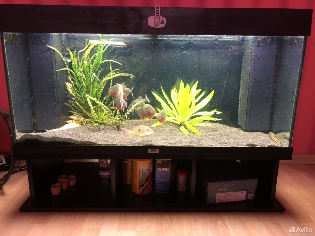 Аквариум