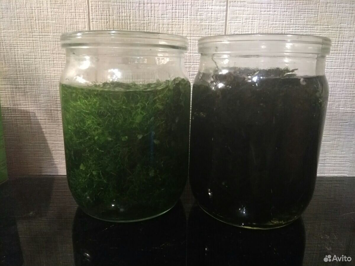 Аквариумная прополка
