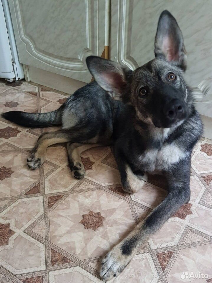 Ещем дом и любящую семью для мальчика