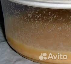 Нематода живой корм для рыб