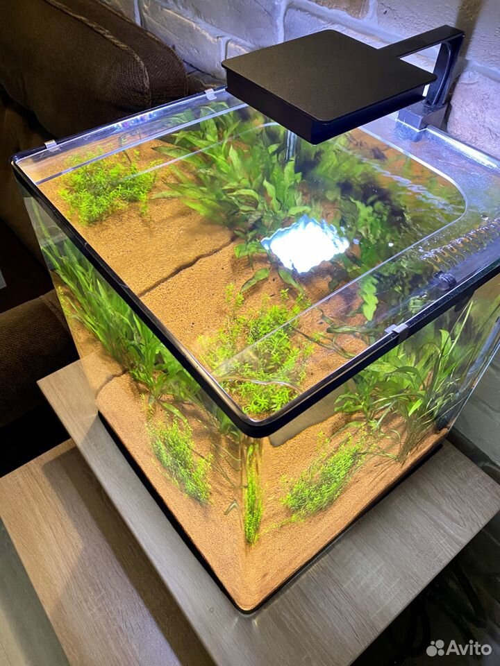Аквариум Denerley nano cube 60 литров