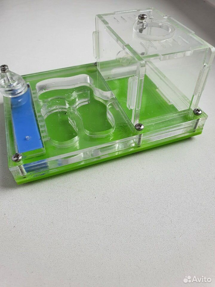 Муравьиная ферма