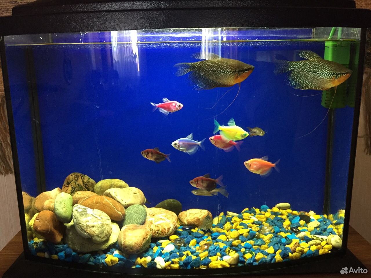 Аквариум панорамный, 35л