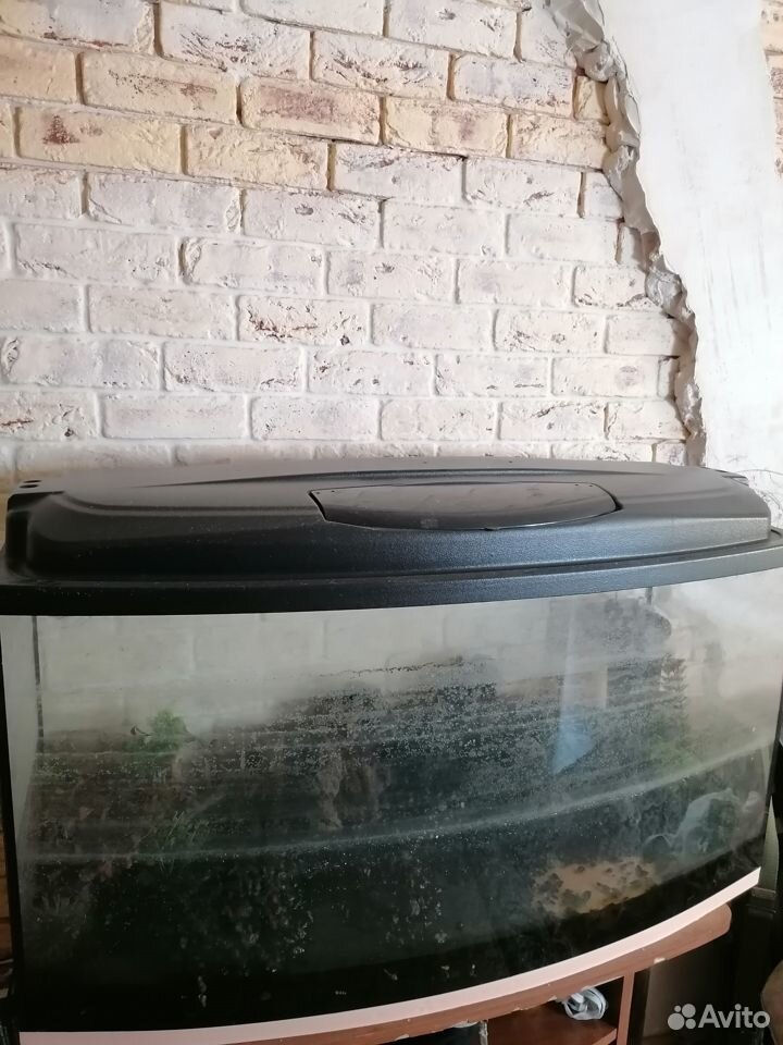 Аквариум и клетка для хомяка