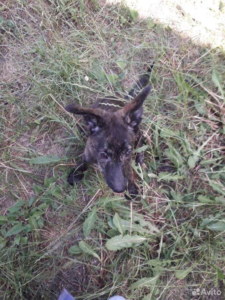 Девочка 3 месяца