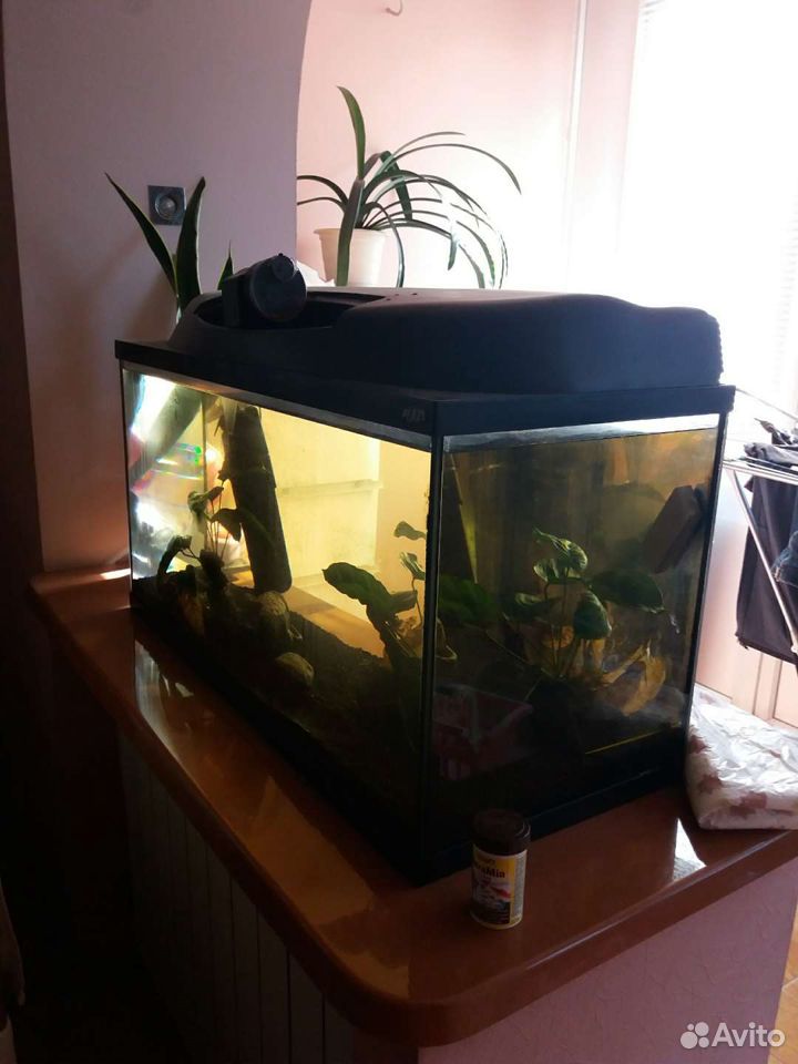 Аквариум 100 л+ содержимое