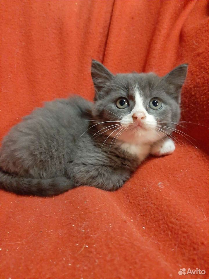 Мальчик с пальчик 1 мес