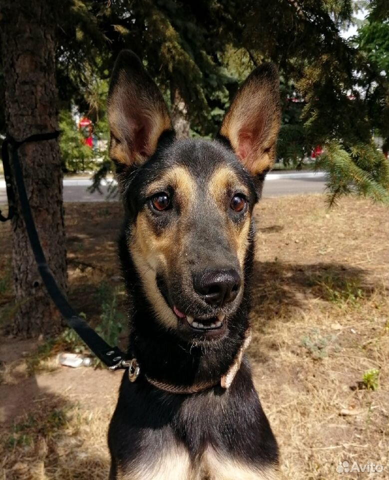 Девочка Юна