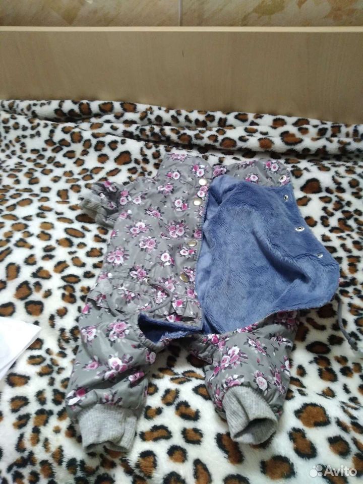 Комбинезоны для собачек