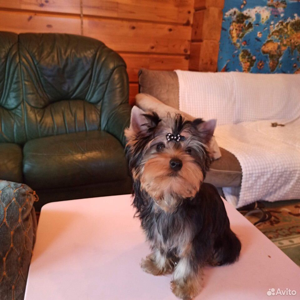 Маленькие чудо девочки