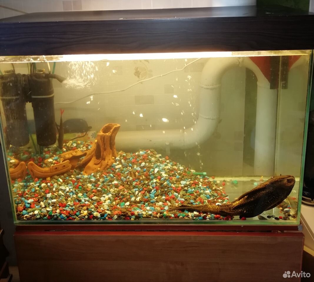 Аквариум