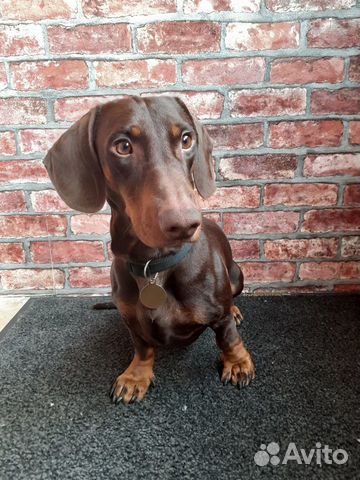 Кабель такса вязка