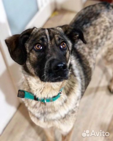 Мотя ждет надежных людей