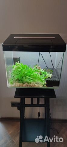 Аквариум Juwel Vio 40 с подставкой (30 л)