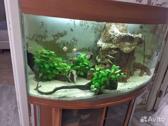 Комплект тумба аквариум крышка свет рыбки