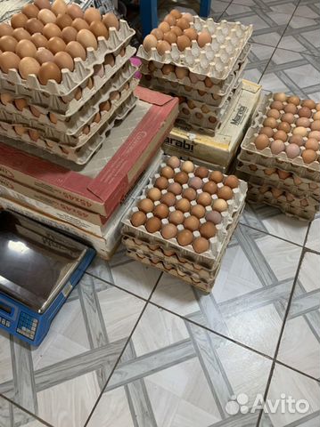 Яйца