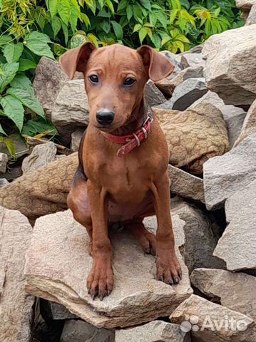 Ждём супер родителей