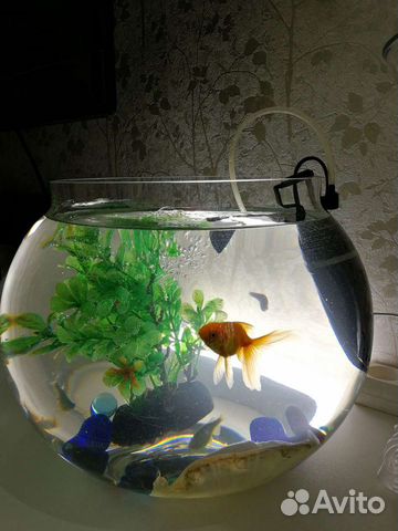 Аквариум 20л