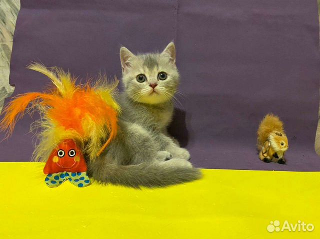 Жемчуженка