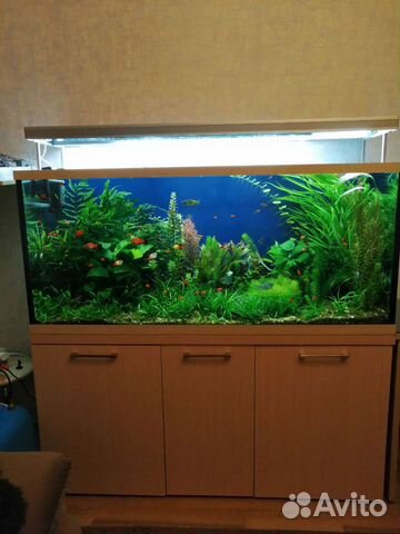 Аквариум