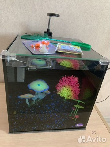 Аквариум + рыбки