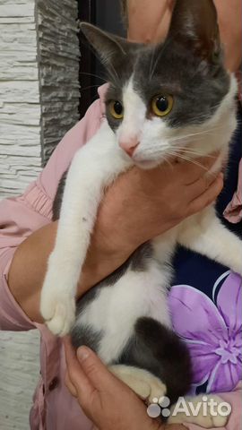 Мальчик ищет дом