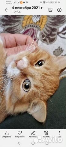 Очень красивый мальчик