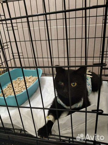 Василиса ждет родителей