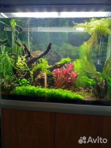 Аквариум с тумбой
