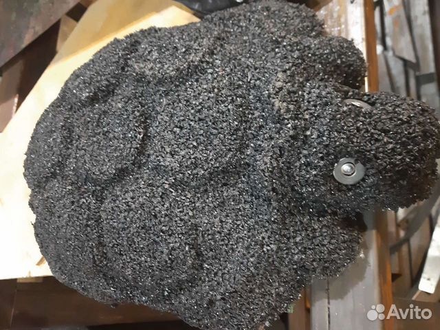 Коралл балянус