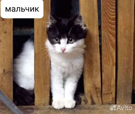 Подарите малышам жизнь