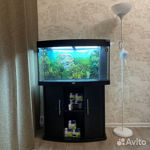 Аквариум Juwel Vision 180 с тумбой и фильтром