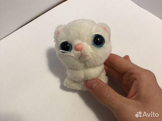 Плюшевый маленький котёночек