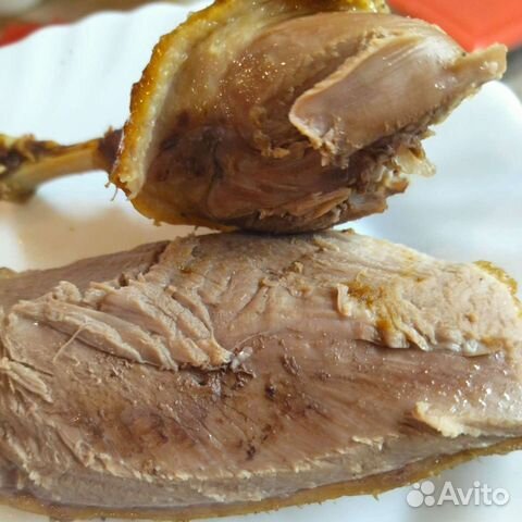 Индоутка мускусная утка