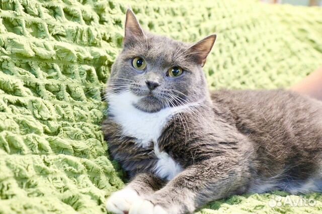 Фрейя - очаровашка в дар